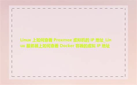 Linux 上如何查看 Proxmox 虚拟机的 Ip 地址 Linux 服务器上如何查看 Docker 容器的虚拟 Ip 地址
