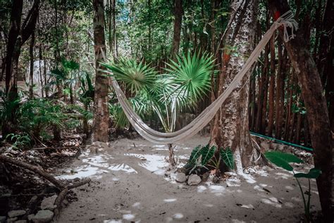 Lunita Jungle Tour Experience M Xico