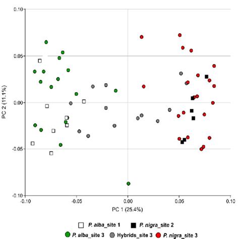Consensus Retrieved By Procrustes Analysis Between The Morphological