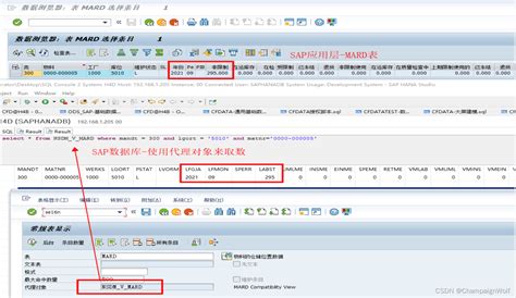 【sap hana】sap s 4 hana 数据库底表查询及运维管理 sap s4底表 csdn博客