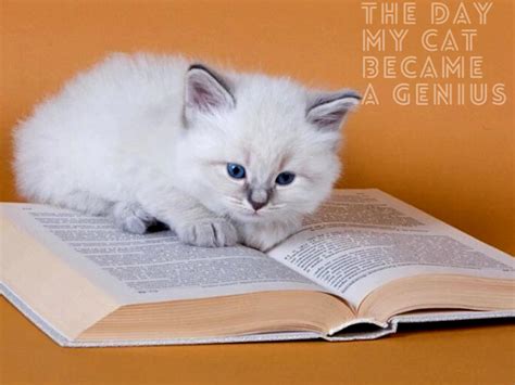 Genius Cat