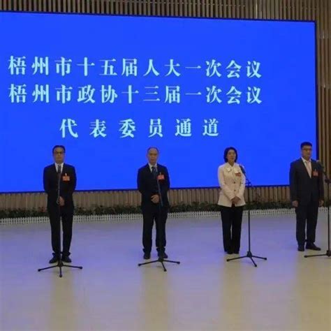 现场原声｜代表委员畅谈如何做好六堡茶产业新文章、助力梧州建成林业强市罗卡妮