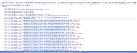 Theming Libraries Override Not Working Drupal Answers