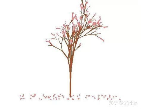 教你用python画樱花树 知乎