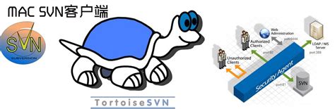 Linux Svn切换分支玩转svn 分支 Csdn博客