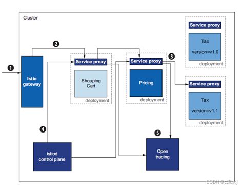 Service Mesh概述java Service Mesh Csdn博客