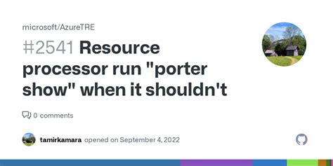 resource processor run porter show when it shouldn t · issue 2541 · microsoft azuretre · github