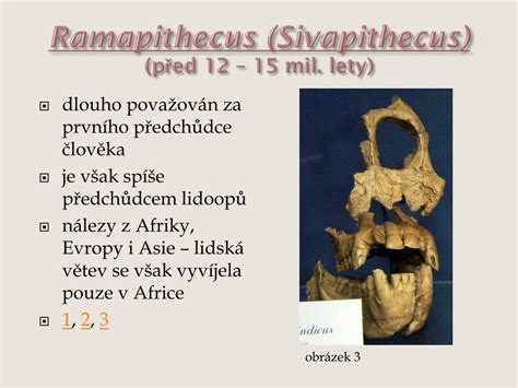 Ppt Původ A Vývoj člověka Powerpoint Presentation Free Download Id