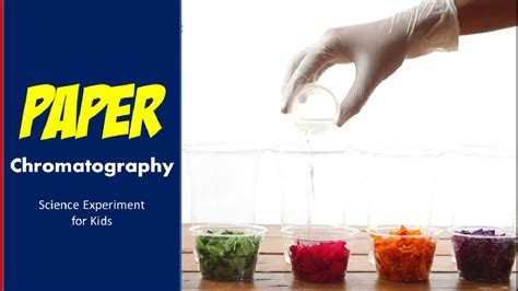 How To Do The Chromatography Paper Experiment At Terry Greene Blog