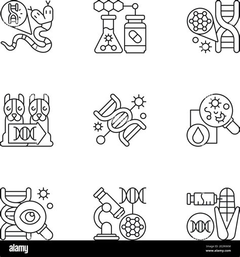 Dna Structure Experiment Linear Icons Set Stock Vector Image And Art Alamy