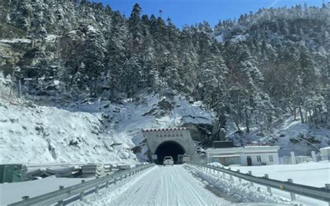 西藏林芝多雄拉隧道出口发生雪崩 已致8人遇难 中华网