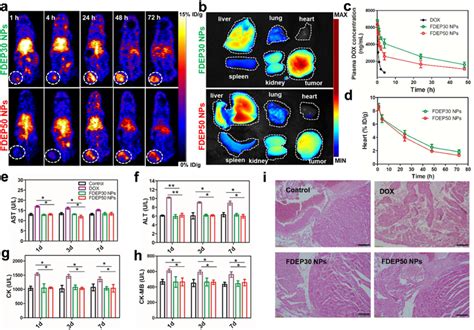 Self Assembled Green Tea Polyphenol Based Coordination Nanomaterials To