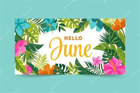 Hello June Wallpapers Wallpaper Cave