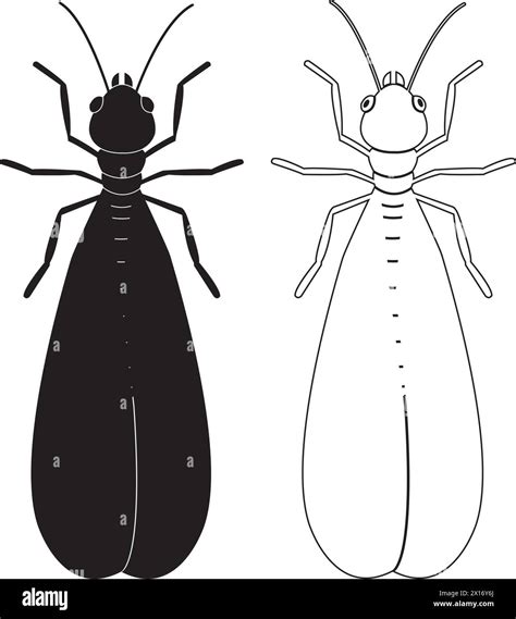 Termite Species Cut Out Stock Images And Pictures Alamy