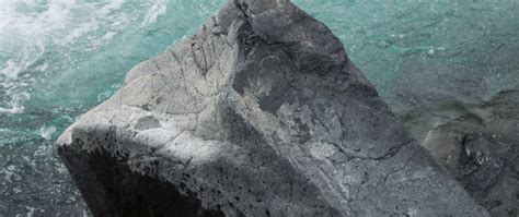 How To Controlled Forms With React Dev Community