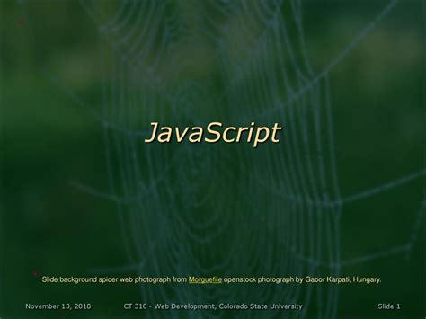 Ct Web Development Colorado State University Ppt Download