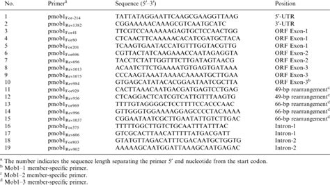 List Of Forward And Reverse Primers Designed On The Genomic Sequences Download Table