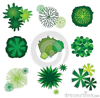 Set Of Tree Icons For Garden Plan Design Stock Images Image 21753494