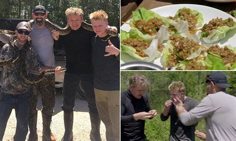 Gordon Ramsay Captures Burmese Python To Eat On The F Word Daily Mail