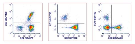 Fluorescently Labeled Streptavidin For Flow Cytometry Bio Rad