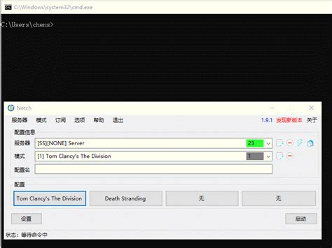 更新到1 9 2后，进程模式下导致本地dns解析全部经过代理。 · issue 780 · netchx netch · github