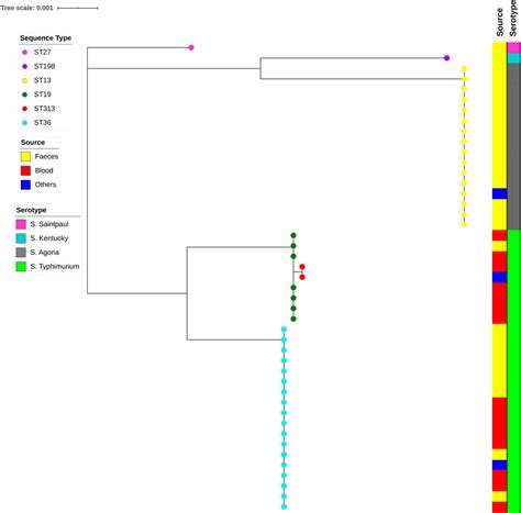 Mlst Based Maximum Likelihood Tree Showing The Genetic Relationships Download Scientific