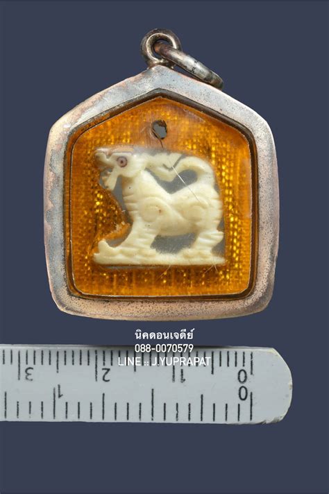 สิงห์ หลวงพ่อมุ่ย วัดดอนไร่ ขนาด1 7 ซ ม สุพรรณบุรี อมูเลท Suphanburi Amulet ร้านพระ ร้าน