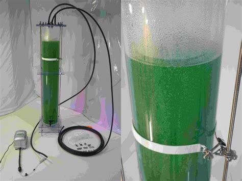 Photobioreactor 30 Liter 79 Us Gallons For Home Cultivation Of