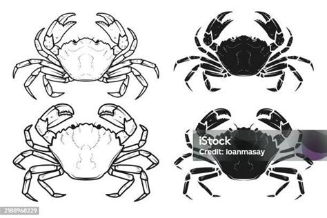 게 일러스트 세트입니다 게 해산물 라벨 간판 포스터 전단지를 위한 디자인 요소 벡터 일러스트 레이 션 갈고리 발톱에 대한 스톡