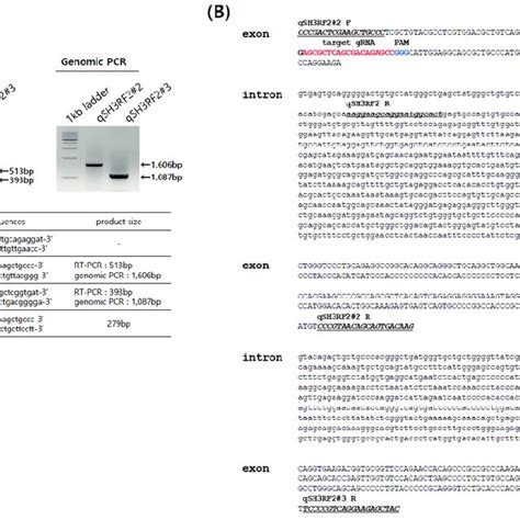 String Analysis Of Differentially Expressed Genes Degs Processed By