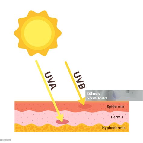 Uva와 Uvb 보호 개념 개념에 대한 스톡 벡터 아트 및 기타 이미지 개념 디자인 라벨 Istock
