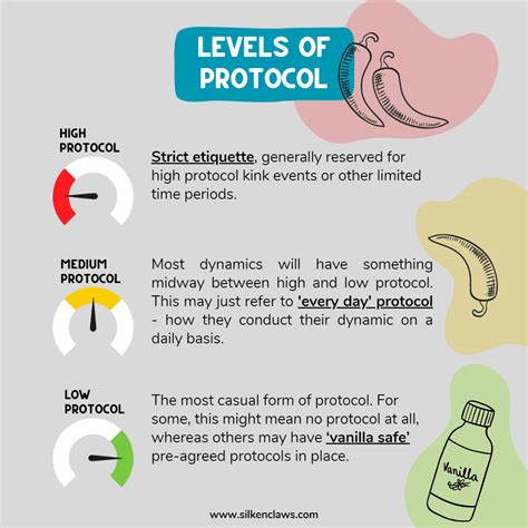 Low Medium And High Protocol Understanding The Levels
