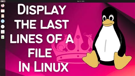 how to display the last n lines in a text file using linux termina