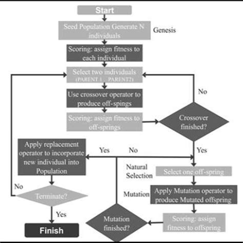 Block Diagram Representation Of Genetic Algorithms 10 Download