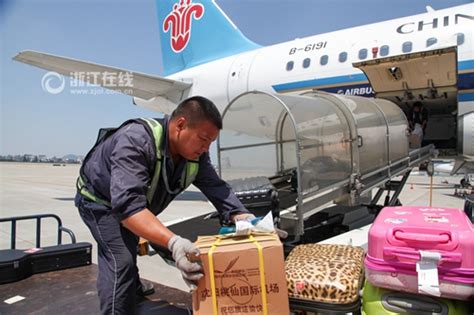 机场行李装卸 机场行 机场取行 第2页 大山谷图库