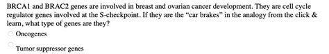 Solved Brca1 And Brac2 Genes Are Involved In Breast And