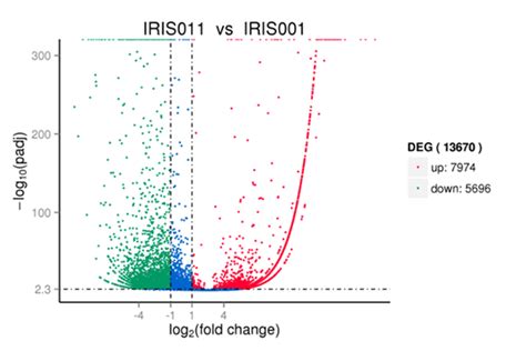 Metatranscriptome Sequencing Novogene