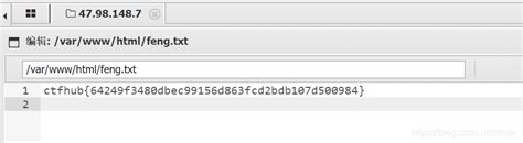 ctfhub bypass disable function系列（已完结） ctfhub bypass disable function csdn博客