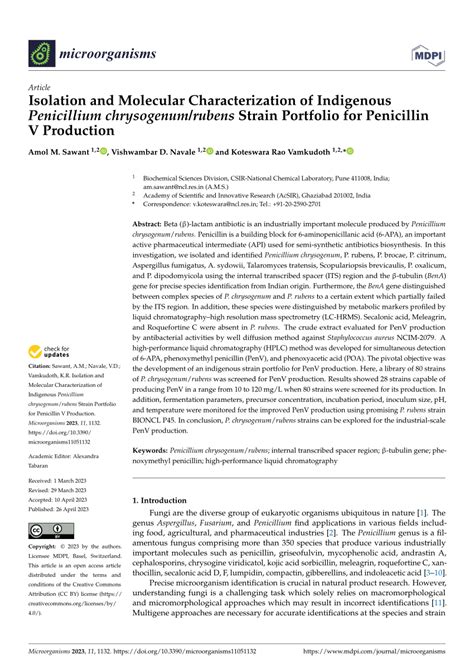 Pdf Isolation And Molecular Characterization Of Indigenous Penicillium Chrysogenumrubens