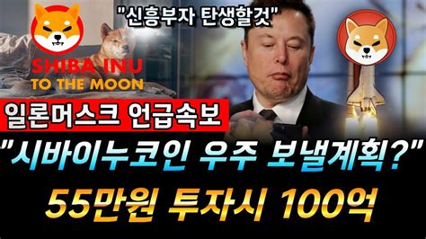 시바이누 코인 시바이누 To The Moon 우리는 시바이누 1달러 시대에 살고있다 시바이누코인 전망 과 시바이누호재 비트코인 시바이누코인 도지코인 이더리움