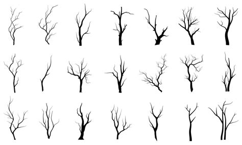 Black Branch Tree Or Naked Trees Silhouettes Set Hand Drawn Isolated
