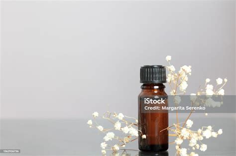 천연 에센셜 오일 또는 잔잔병의 세럼 마른 석고 꽃 장식 대체 의학 뷰티 스킨 케어 제품 복사 공간 꽃 식물에 대한 스톡 사진 및 기타 이미지 Istock