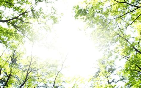 《記載例》給与所得者の（特定増改築等）住宅借入金等特別控除申告書 Technowave