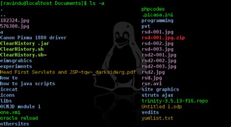 Terminal Commands And Shell Scripting Basic Terminal Navigation Commands
