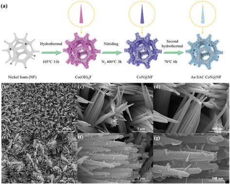 Synthetic Process And Material Characterizations A Schematics Of The Download Scientific