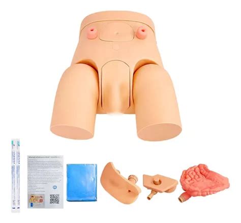 Modelo De Cateterismo Masculino Femenino Intercambiable Meses Sin Interés