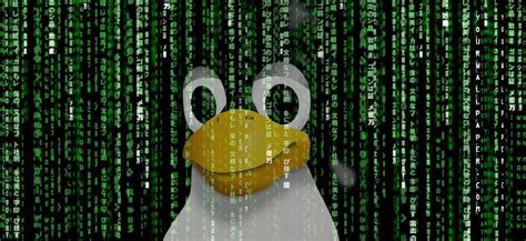 Distribuciones Linux LTS vs Rolling Release Cuál elegir Zidrave in the Net