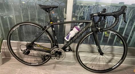 스페셜 라이즈드 타막 Xs 카본프레임 스포츠레저 당근 중고거래