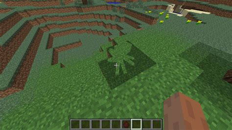 Minecraft Visualgraphic Glitches From 10 To 1710 R