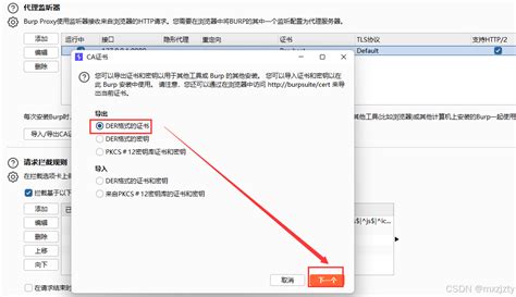 Burpsuite代理设置 Csdn博客